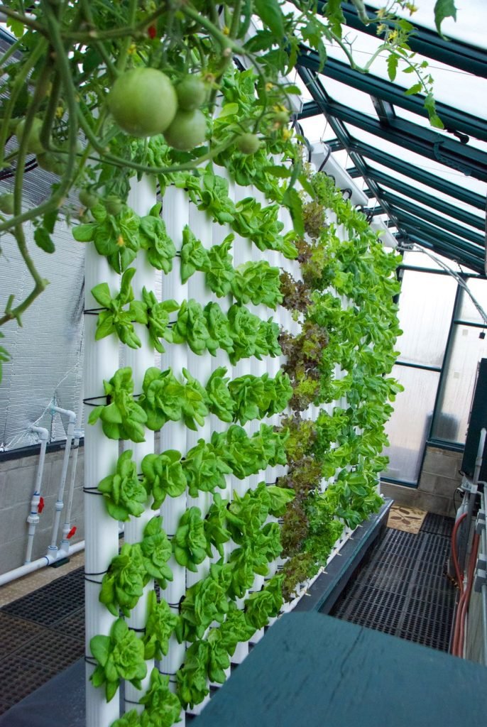 Building A Vertical Aquaponics System - HowtoAquaponic Building A Vertical Aquaponics System - HowtoAquaponic