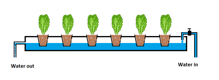 7 Different Aquaponics Systems for the Home Grower - HowtoAquaponic