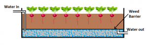7 Different Aquaponics Systems for the Home Grower - HowtoAquaponic