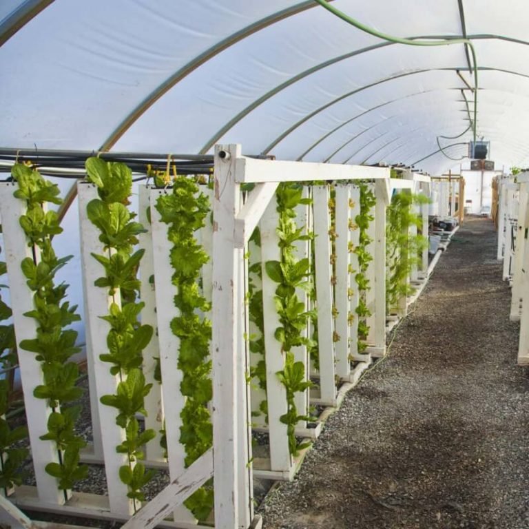 7 Different Aquaponics Systems for the Home Grower - HowtoAquaponic