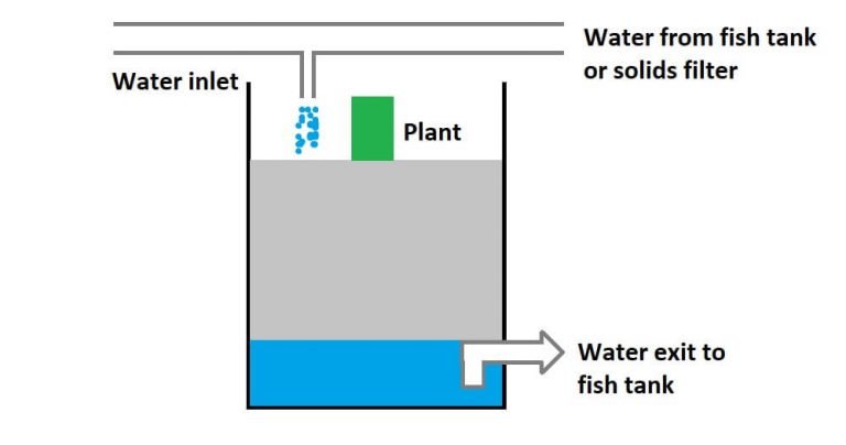 Dutch Bucket Aquaponics - Is it Worth it? - HowtoAquaponic