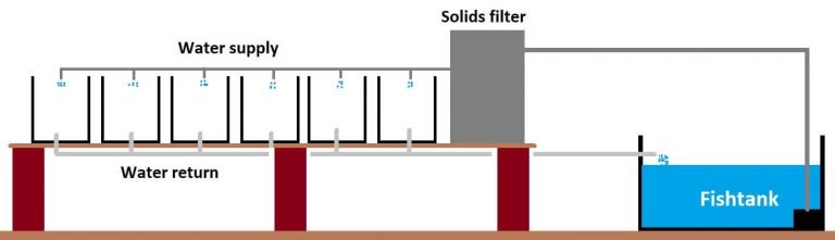 Dutch Bucket Aquaponics - Is it Worth it? - HowtoAquaponic